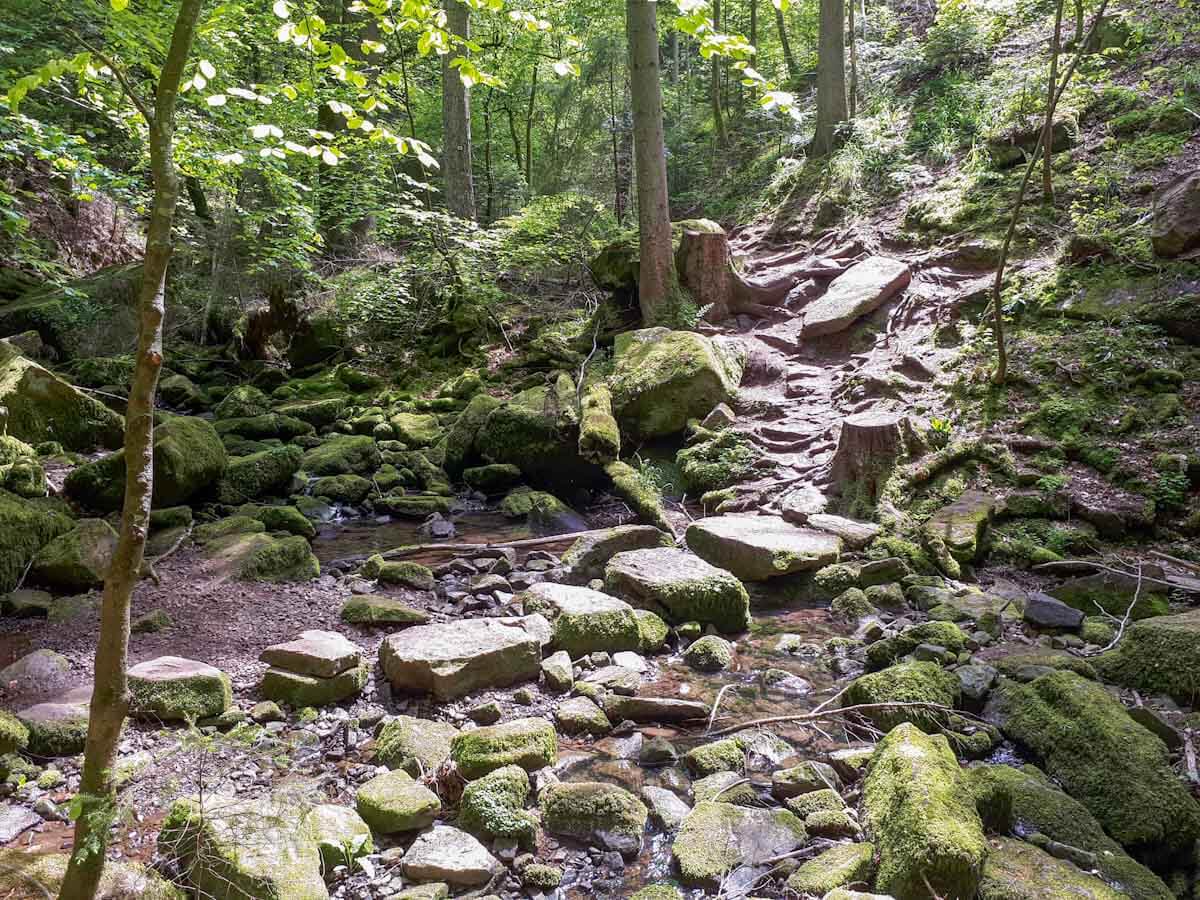 Wandern mit Kindern: Die abenteuerliche Monbachtal Wanderung im ...