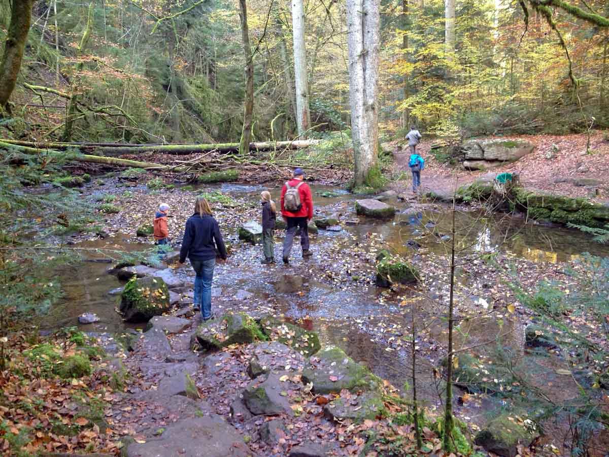 Wandern mit Kindern: Die abenteuerliche Monbachtal Wanderung im ...