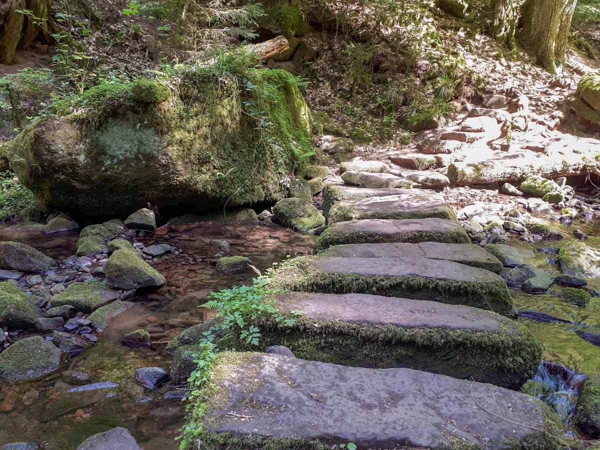 Wandern mit Kindern: Die abenteuerliche Monbachtal Wanderung im ...