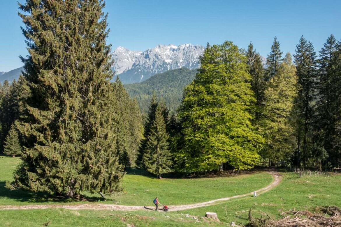 Wandern Mittenwald: 4 Tourenvorschläge für Wanderungen mit Kindern rund ...