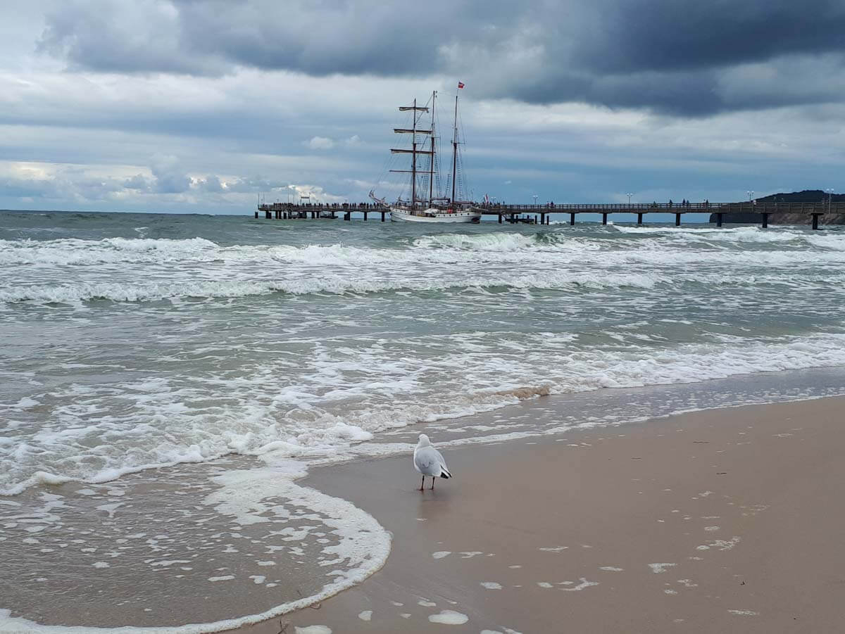 Die 8 schönsten Strände Rügens: Unsere Tipps für Familien ...