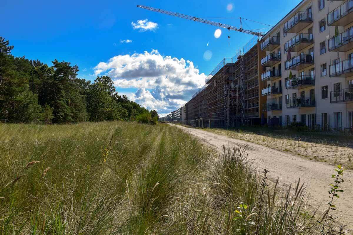 Prora Rügen: Baumwipfelpfad Rügen, Koloss von Rügen & Feuersteinfelder ...