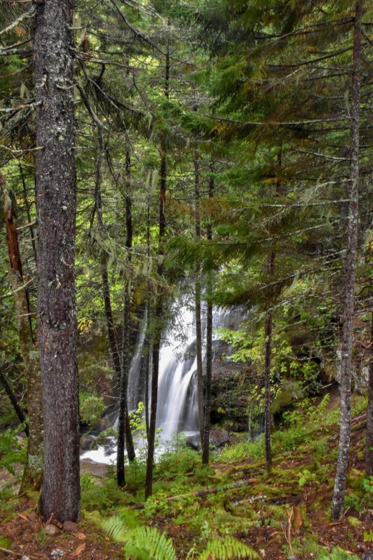 Entdecke einzigartige Naturwunder in der Bay of Fundy in New Brunswick ...