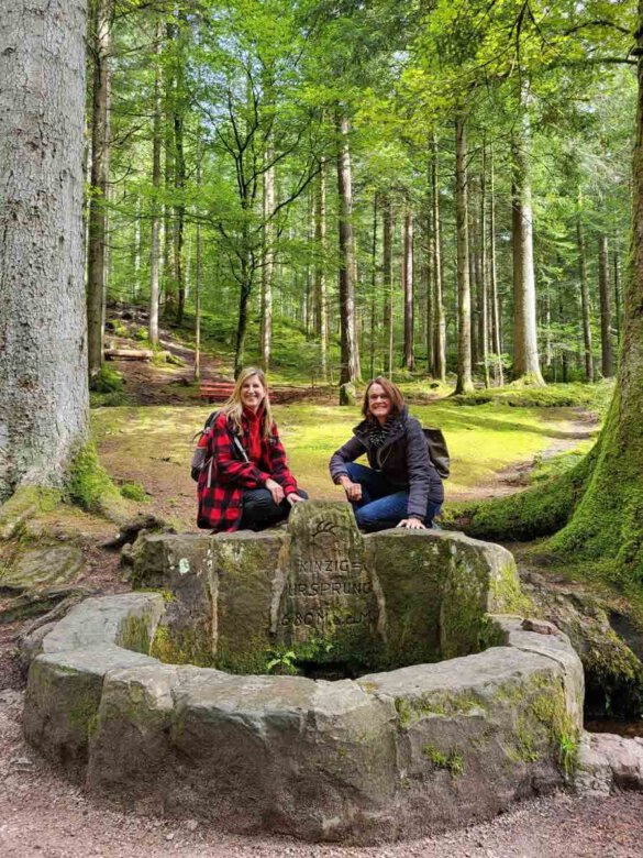 Schwarzwald Dorfurlaub: Wasserzauber & Naturidylle in Seewald, Loßburg ...